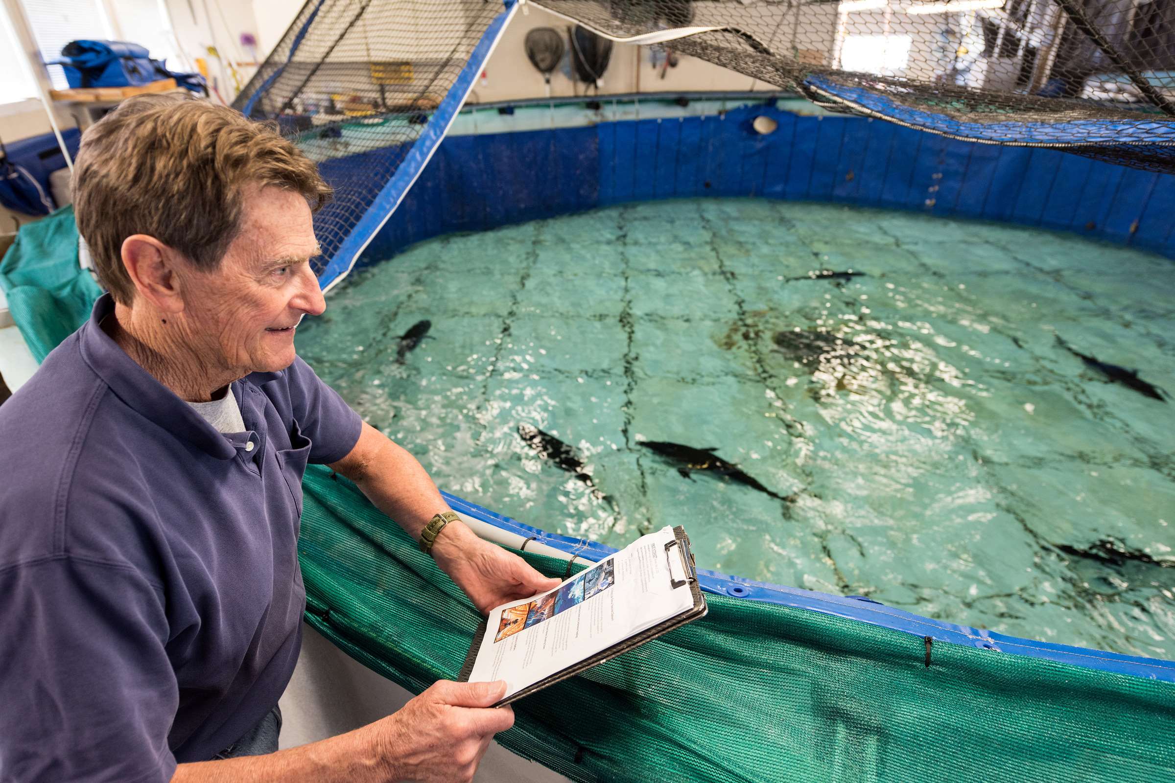 Pacific bluefin tuna are on a path to recovery | Stories | Seafood Watch