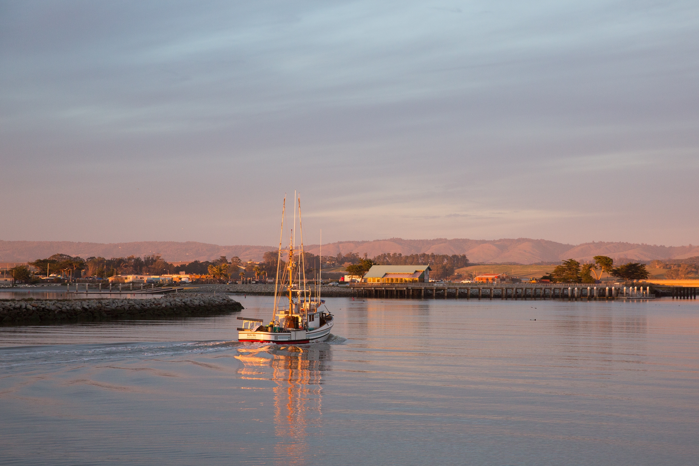 Sustainable salmon guide | Seafood Watch