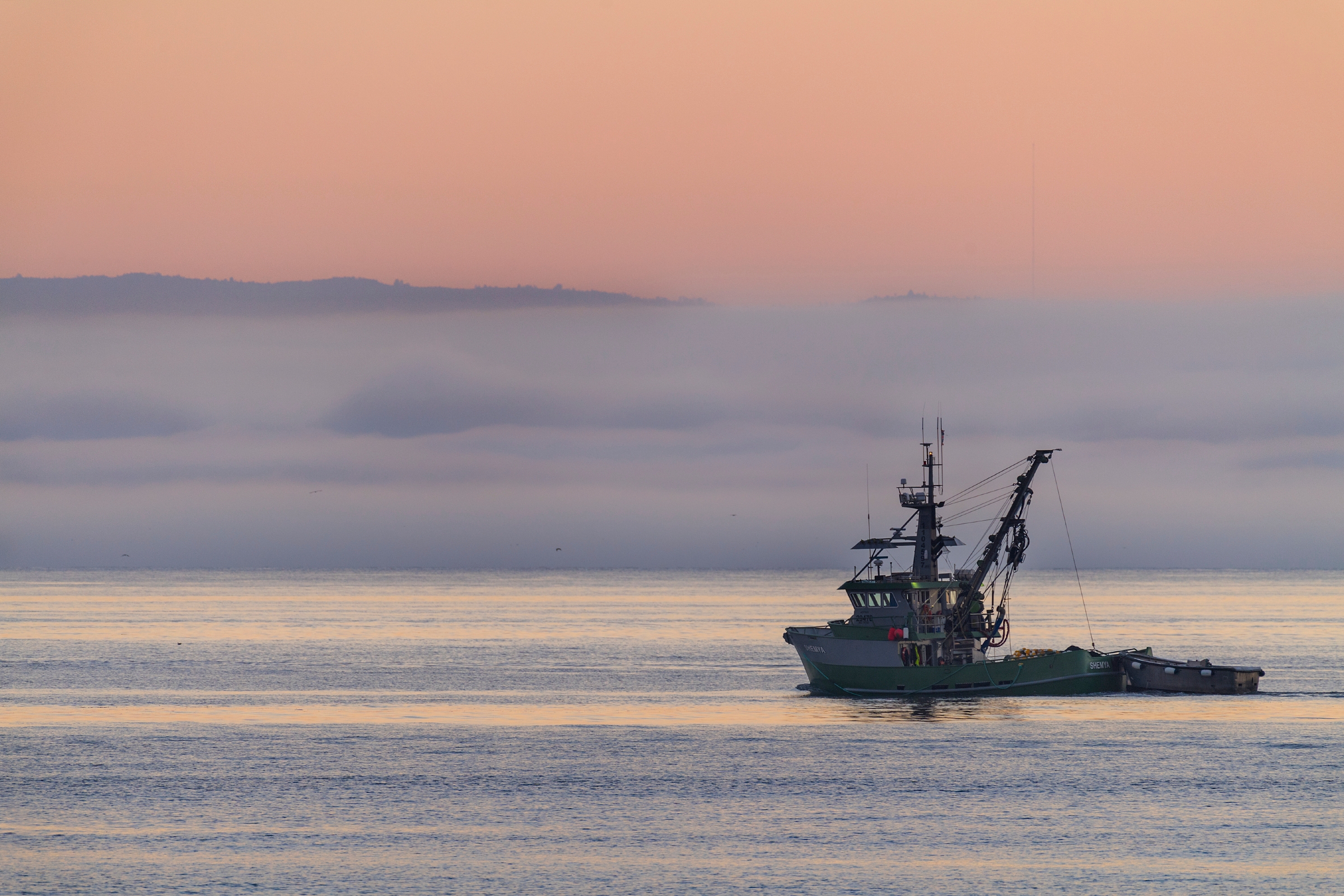 About us | Seafood Watch