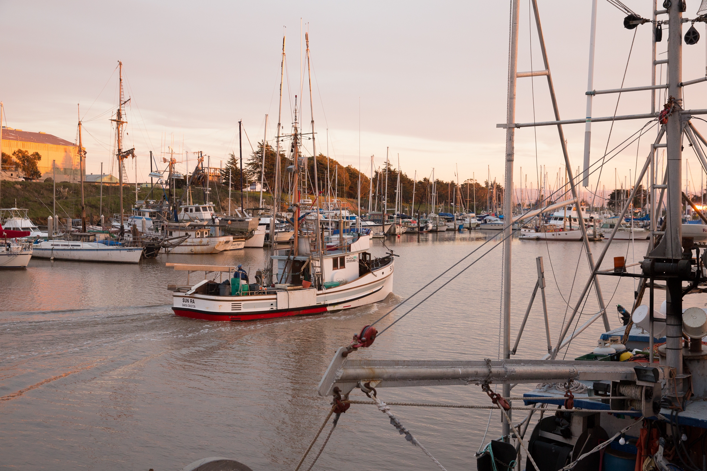 Celebrating 25 years of Seafood Watch | Stories | Seafood Watch