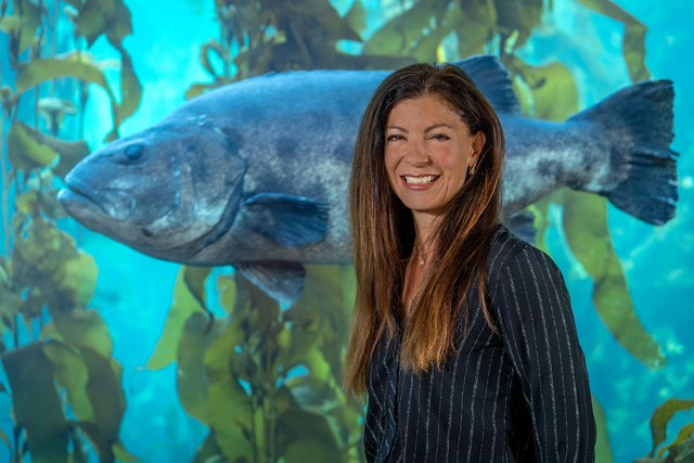 Jennifer Dianto Kemmerly, Vice President, Global Ocean Conservation ...