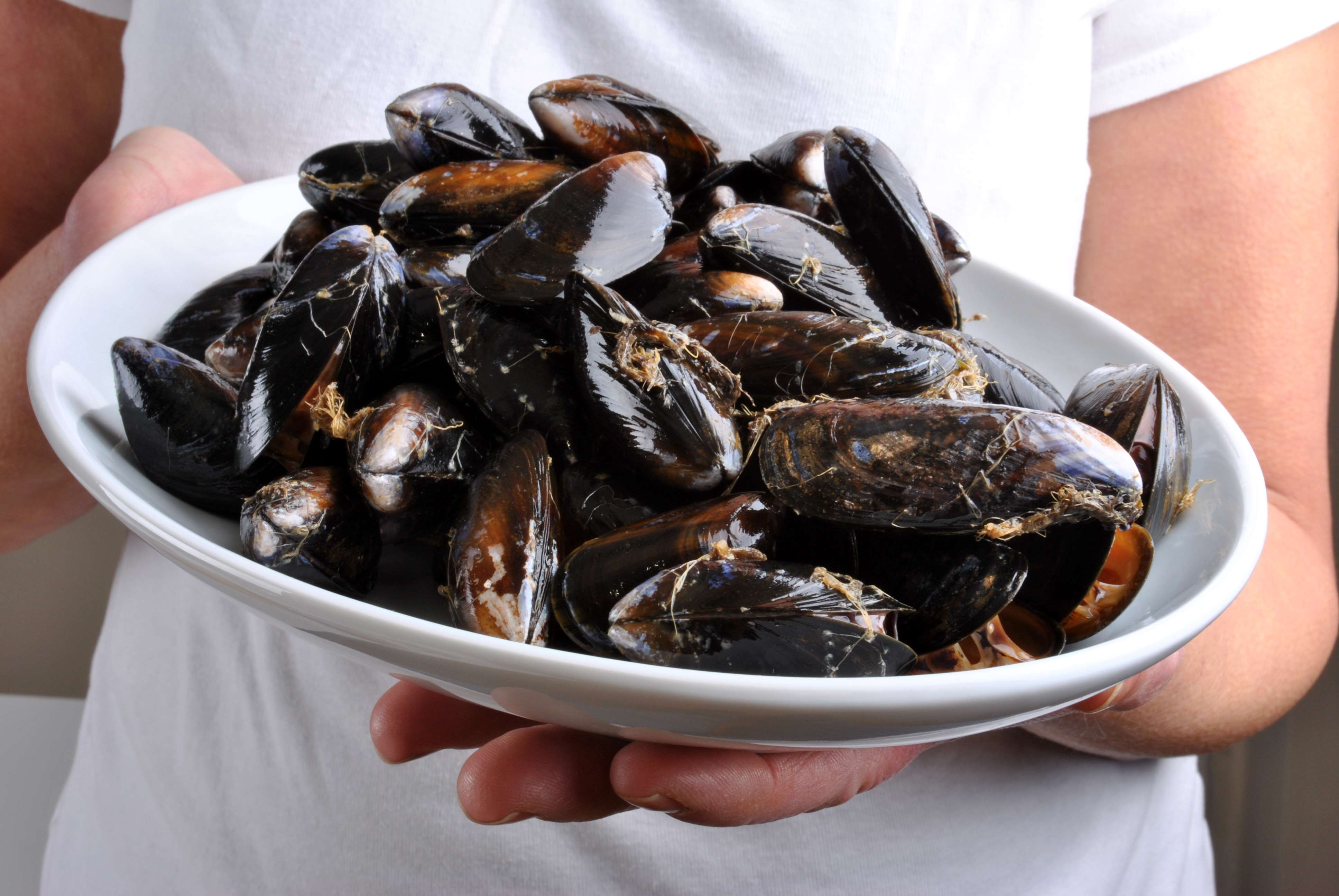 Conservation Partners | Collaborations | Seafood Watch