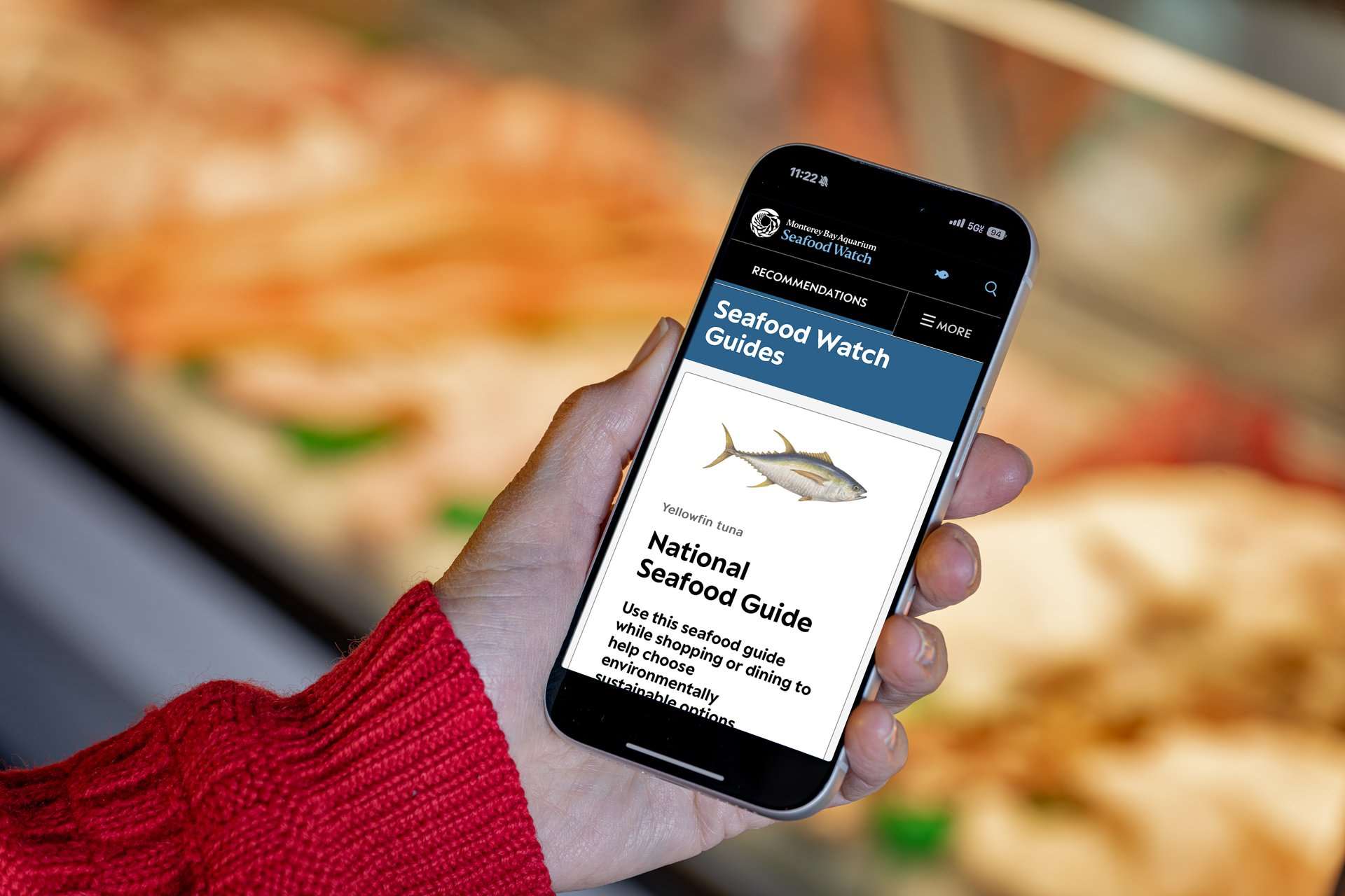 From overfished to ocean-friendly: The U.S. West Coast groundfish ...