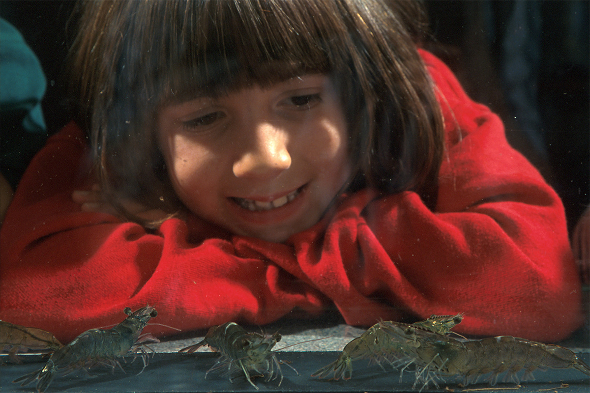 Celebrating 25 years of Seafood Watch | Stories | Seafood Watch