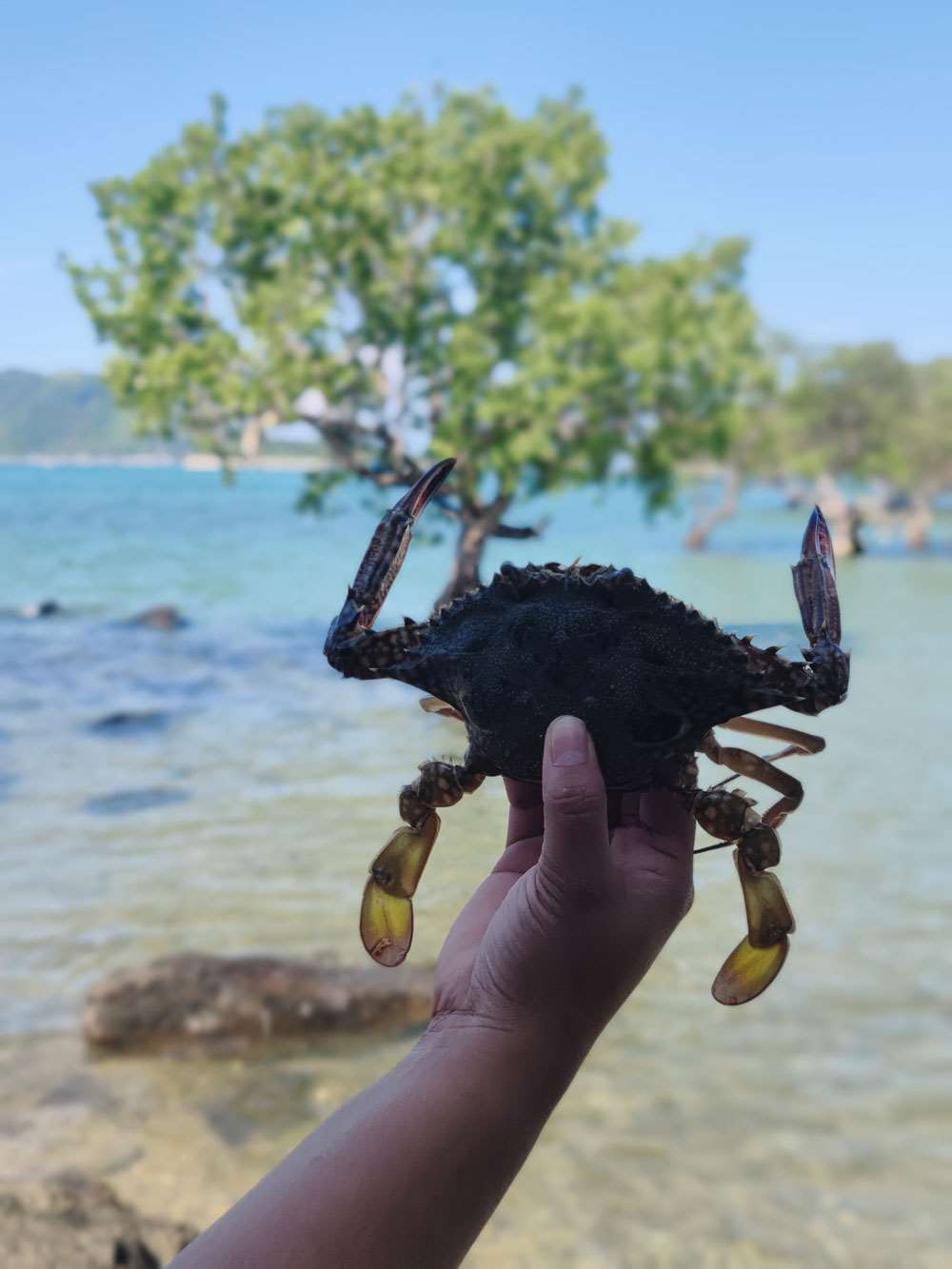 Celebrating 25 years of Seafood Watch | Stories | Seafood Watch