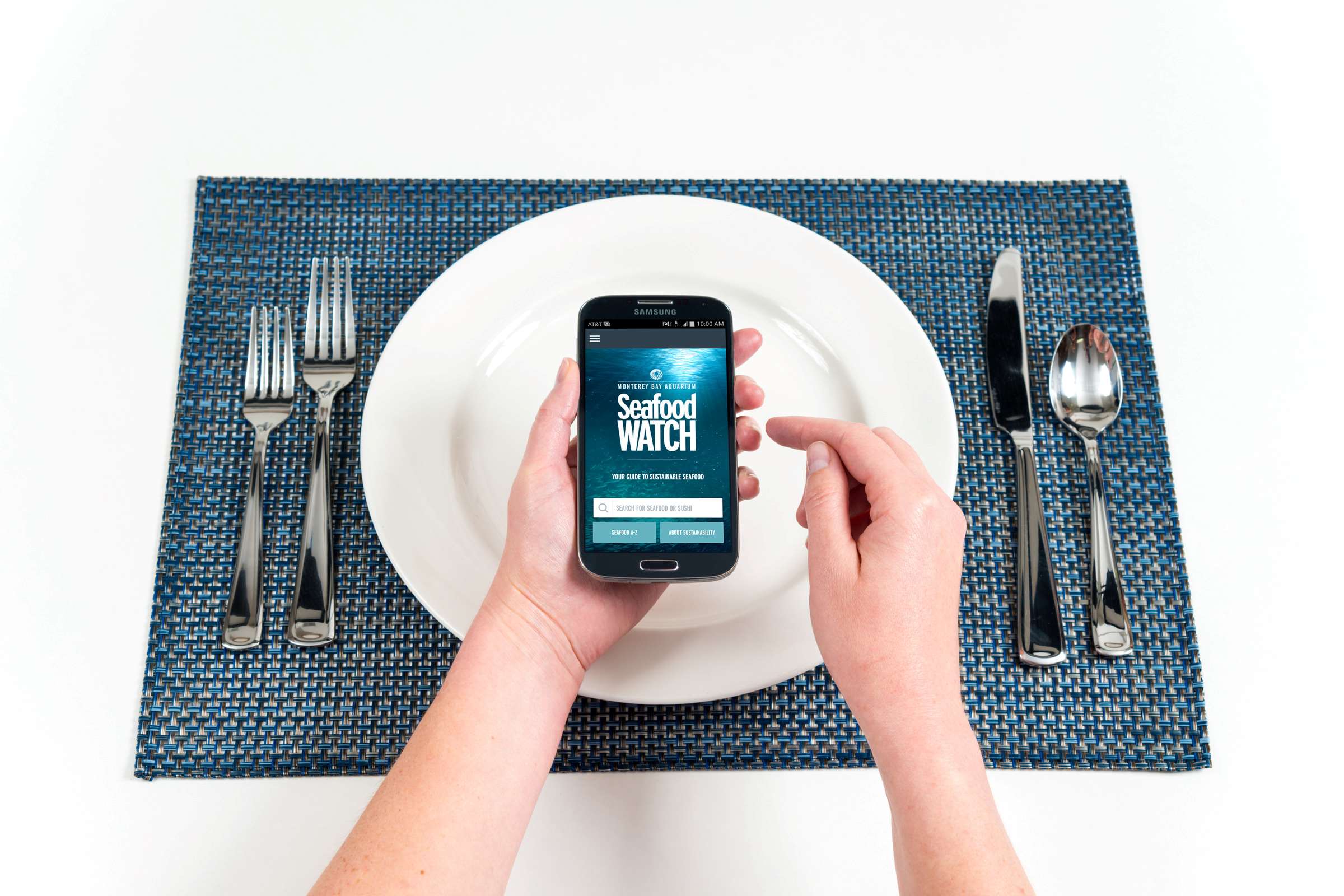 Celebrating 25 years of Seafood Watch | Stories | Seafood Watch
