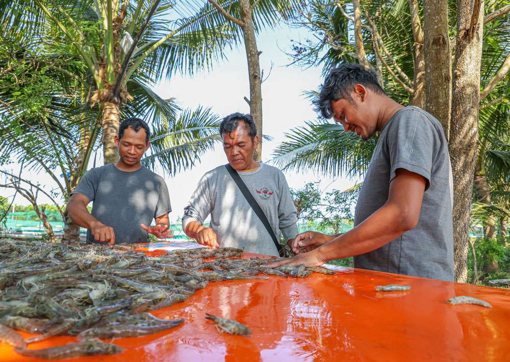 Celebrating 25 years of Seafood Watch | Stories | Seafood Watch