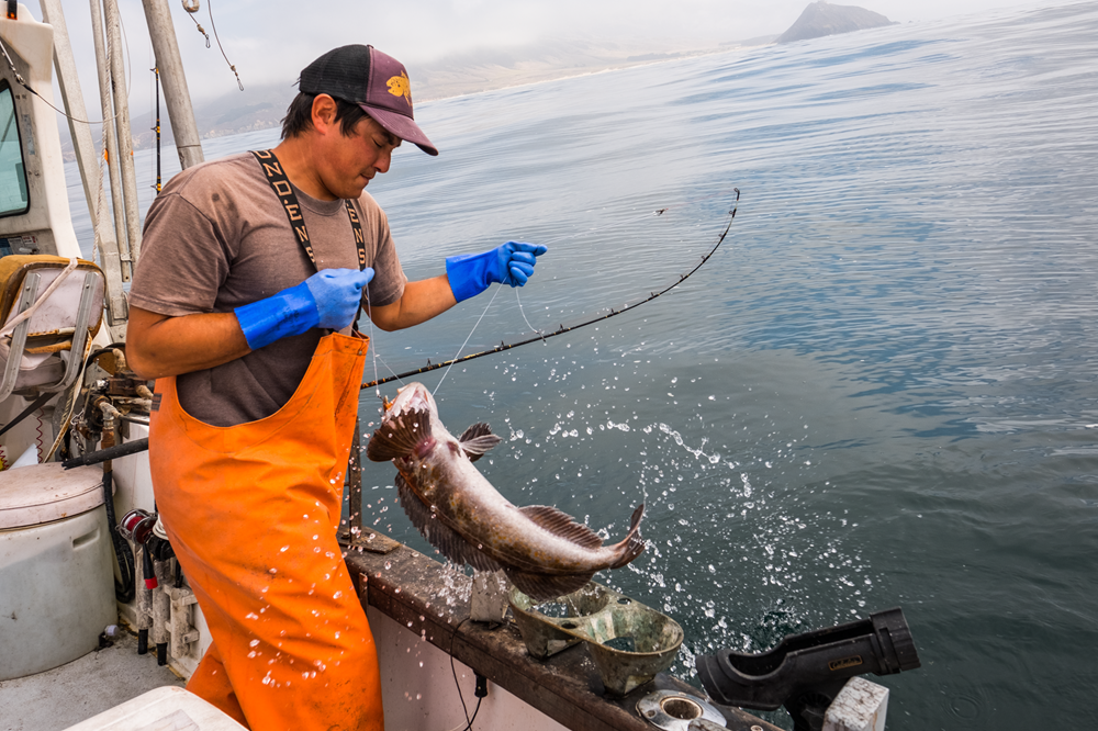 Standard for fisheries | Our standards | Seafood Watch