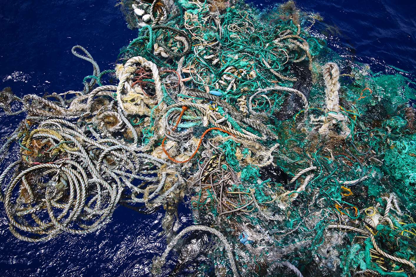 Ghost gear is scary | Stories | Seafood Watch