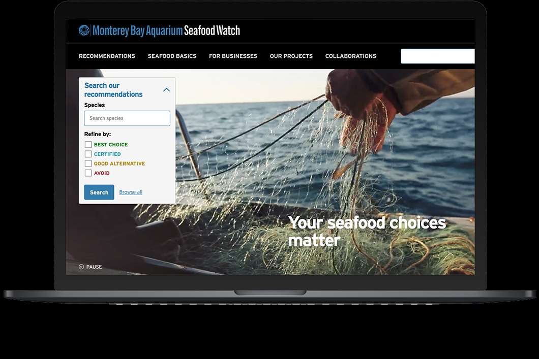 3 ways to use the new Seafood Watch website | Stories | Seafood Watch