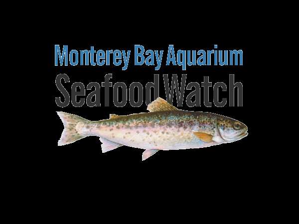 Seafood guides | Recommendations | Seafood Watch