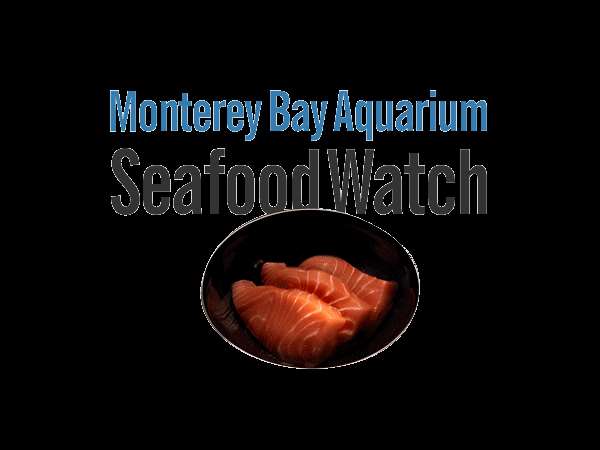 Seafood guides | Recommendations | Seafood Watch