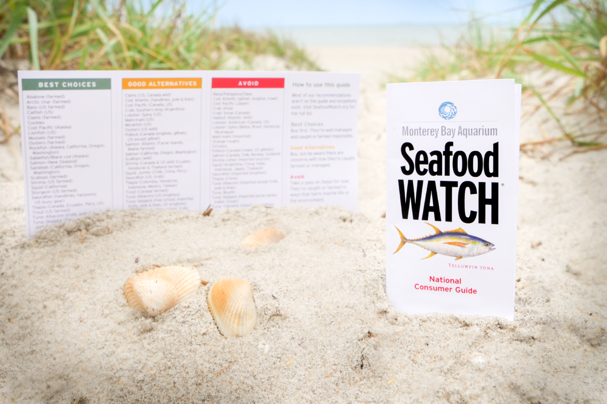 Join the movement | Recommendations | Seafood Watch