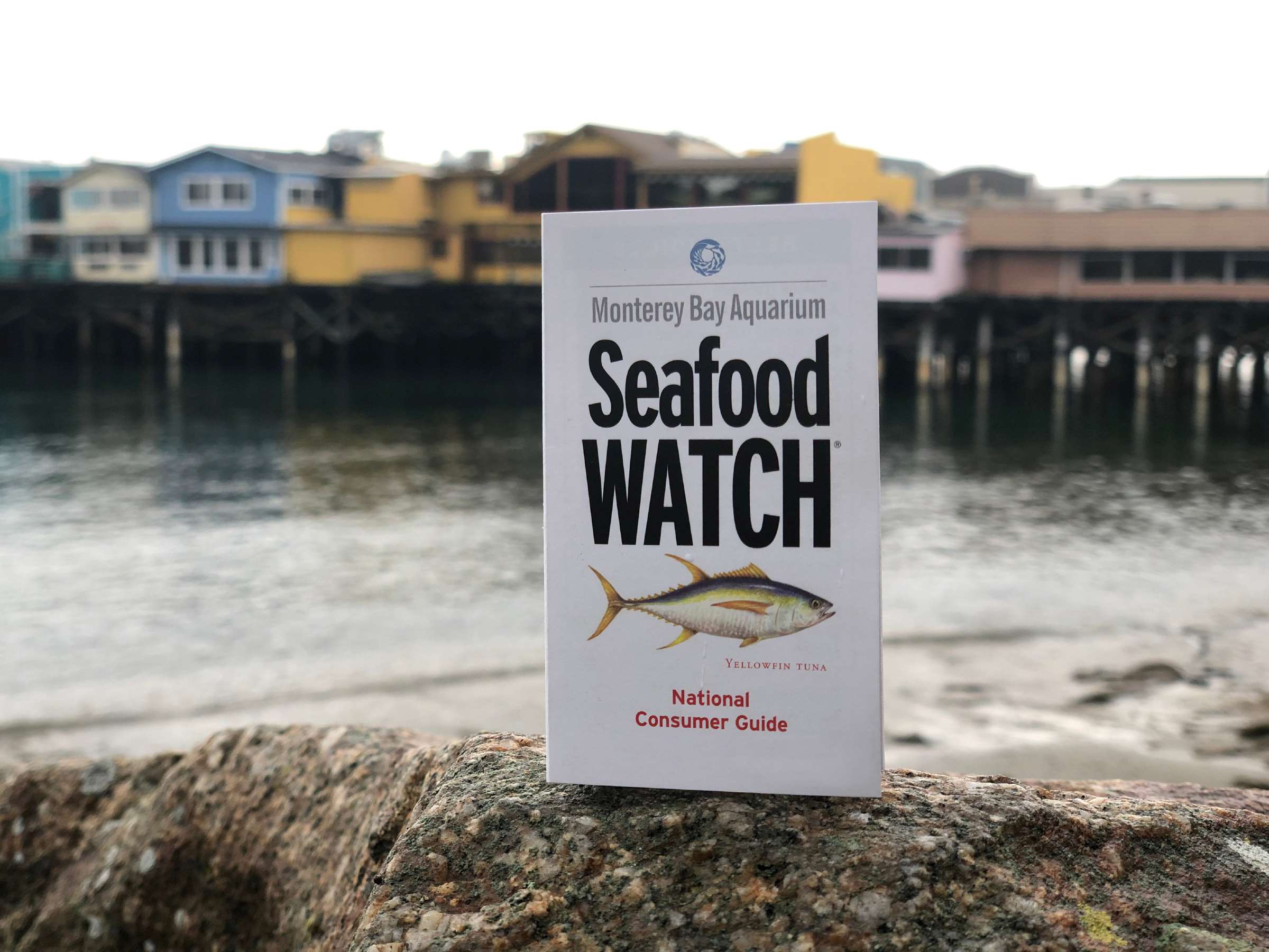 Recommendations | Seafood Watch