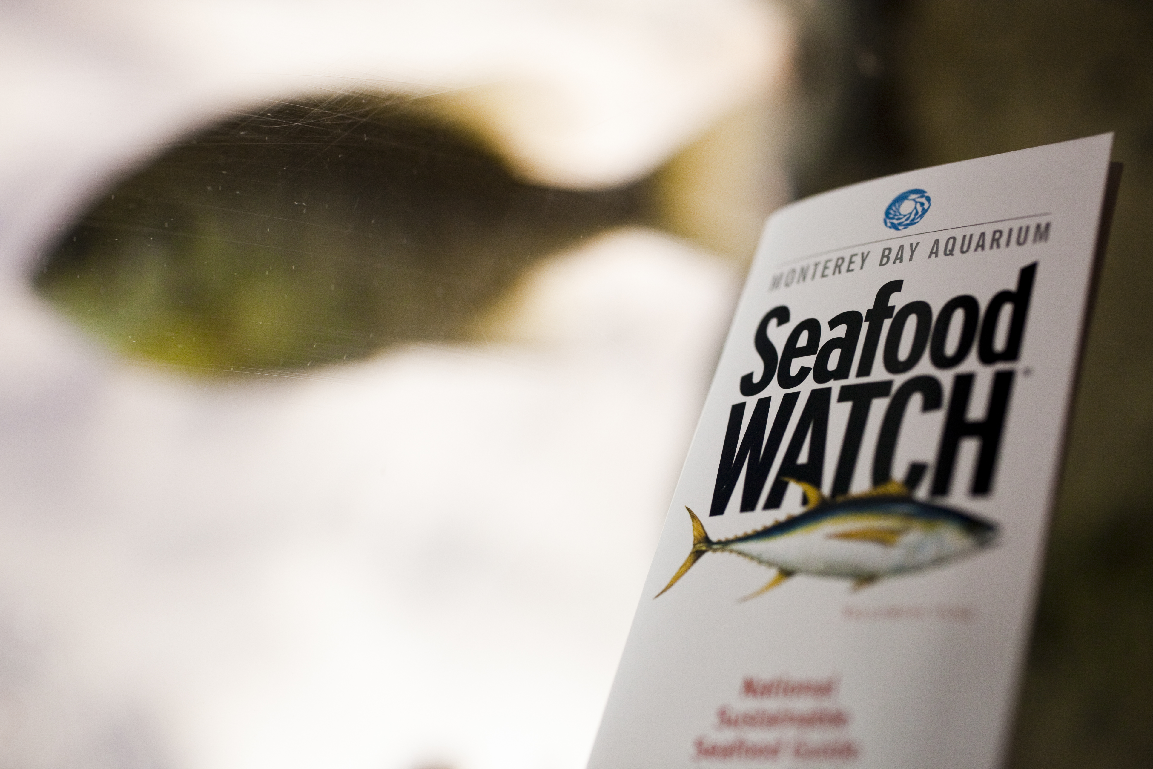 Order consumer guides | Recommendations | Seafood Watch