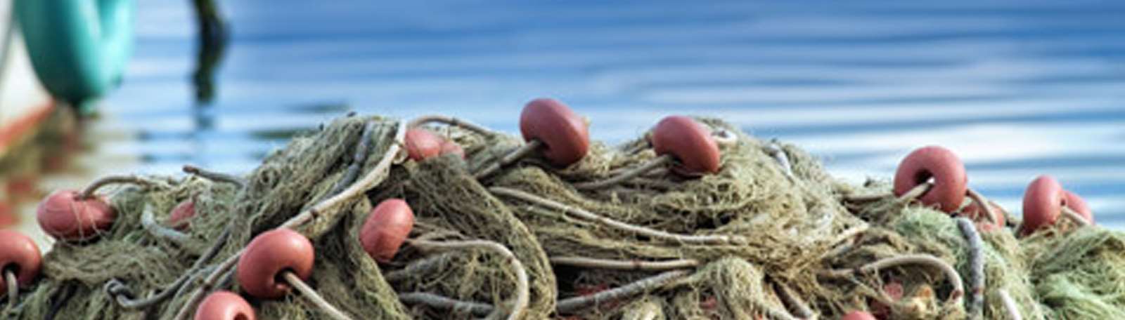 Fishing and farming methods | Seafood basics | Seafood Watch