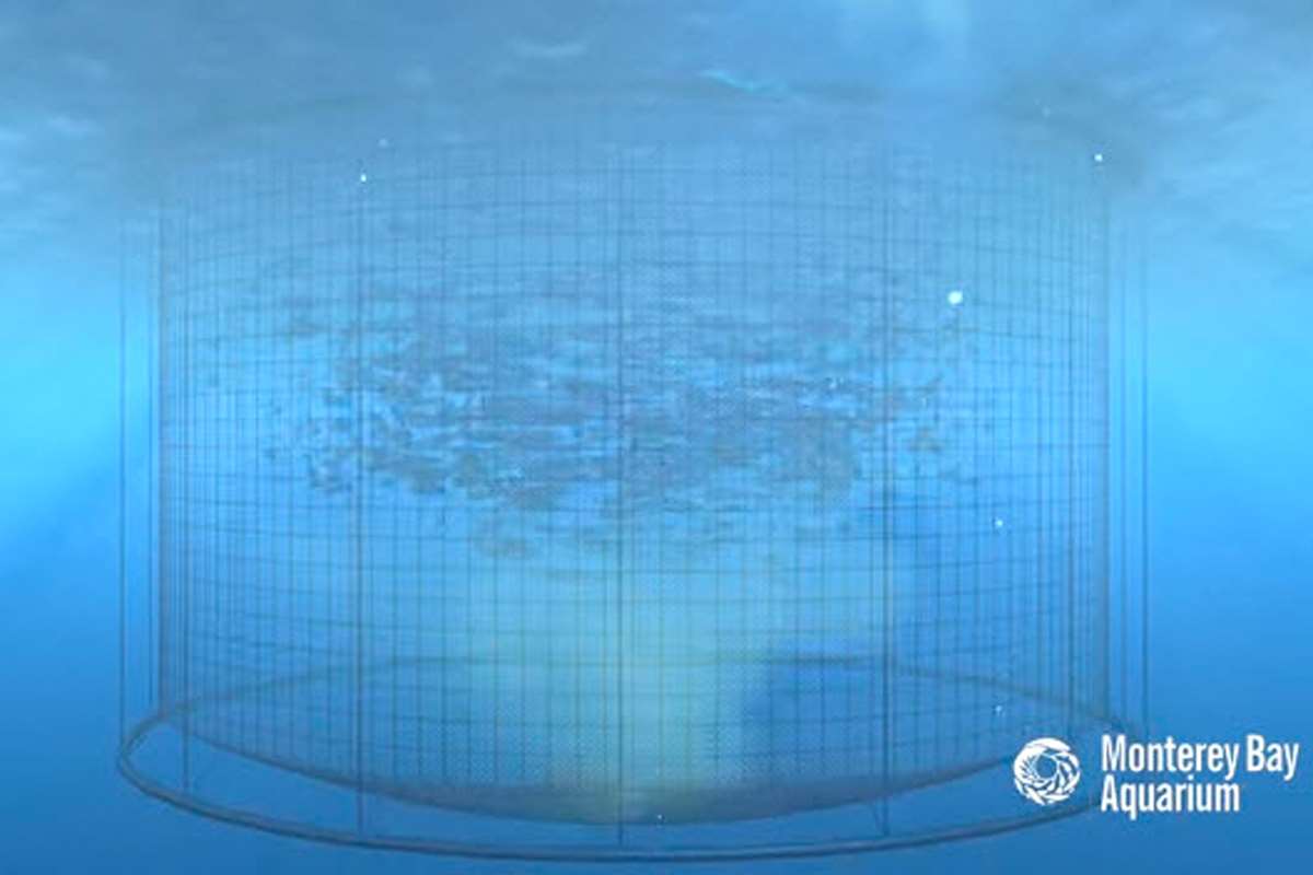 Fishing and farming methods | Seafood basics | Seafood Watch