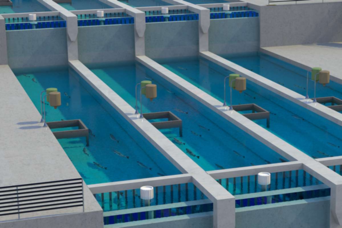 Fishing and farming methods | Seafood basics | Seafood Watch