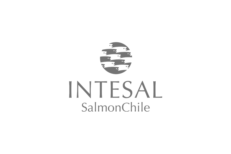 Farmed salmon in Chile | Our projects | Seafood Watch