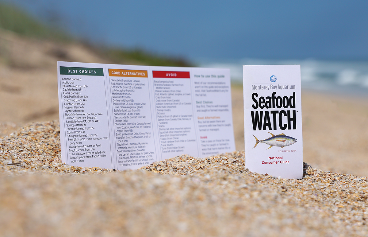 Seafood guides | Recommendations | Seafood Watch
