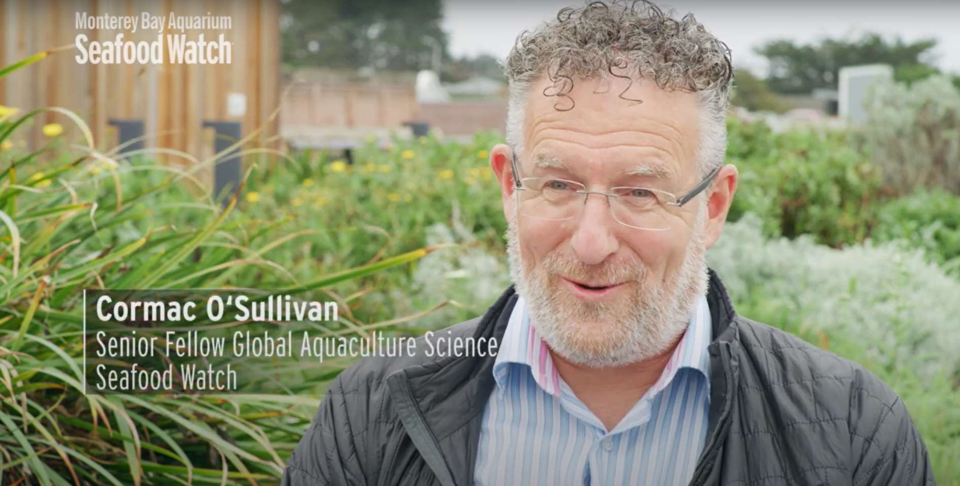 A game changer for small-scale shrimp farmers | Stories | Seafood Watch