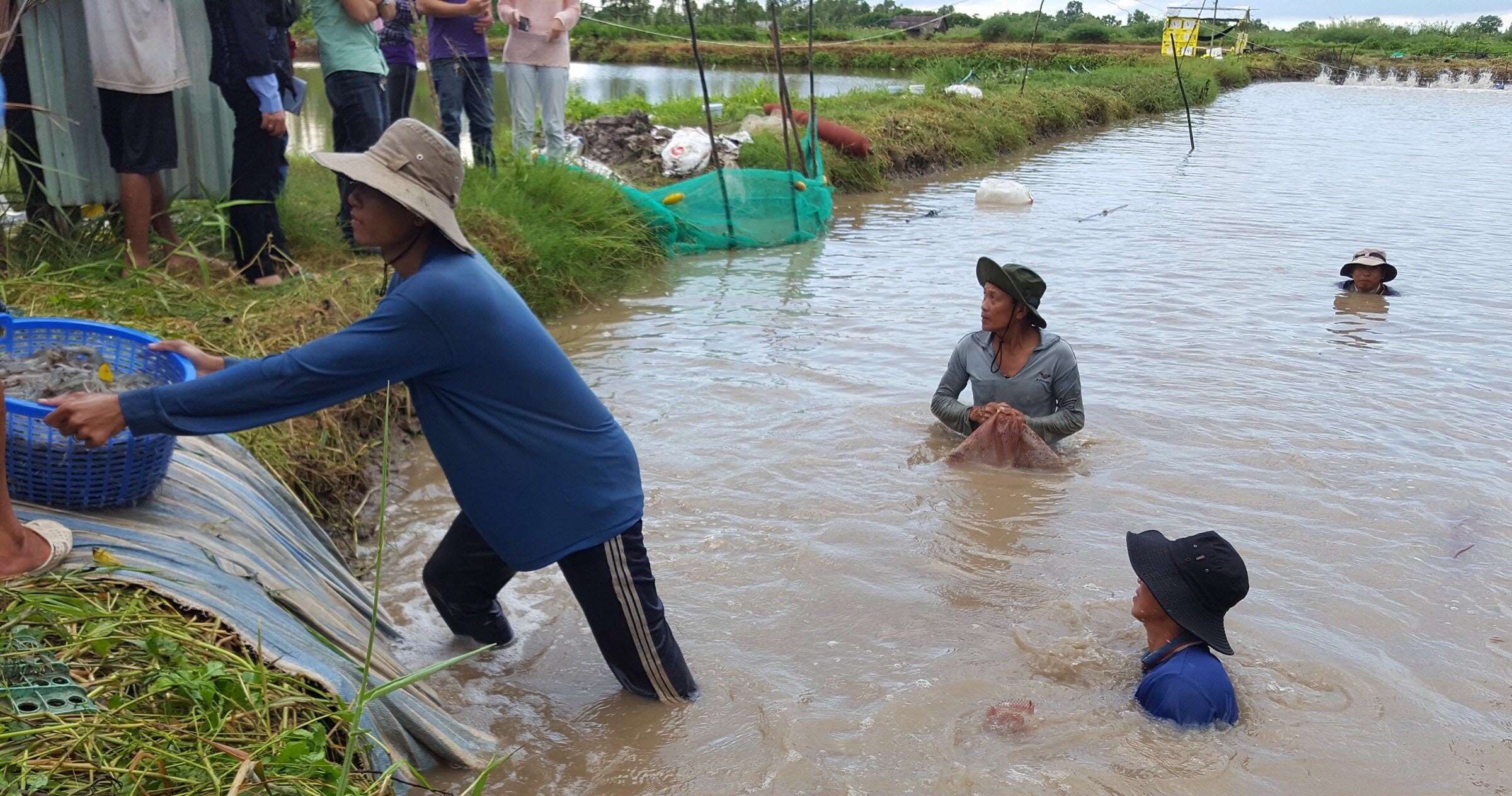 Sustainable solutions | Seafood Watch