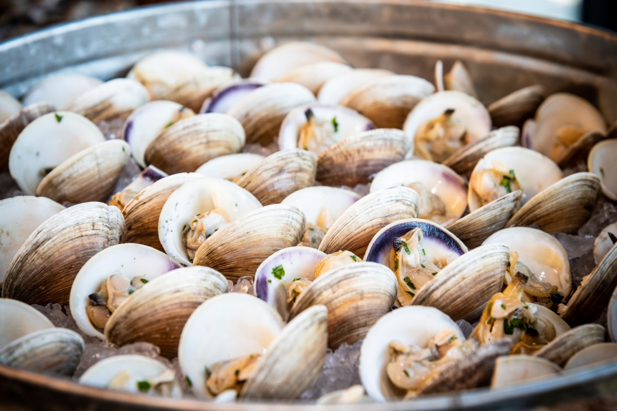 About us | Seafood Watch