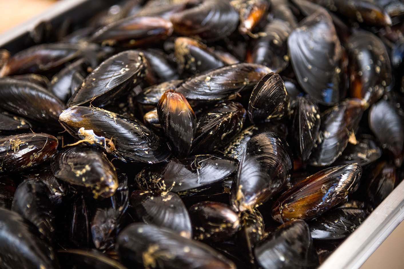 Super Green List | Healthy and environmentally sustainable seafood ...