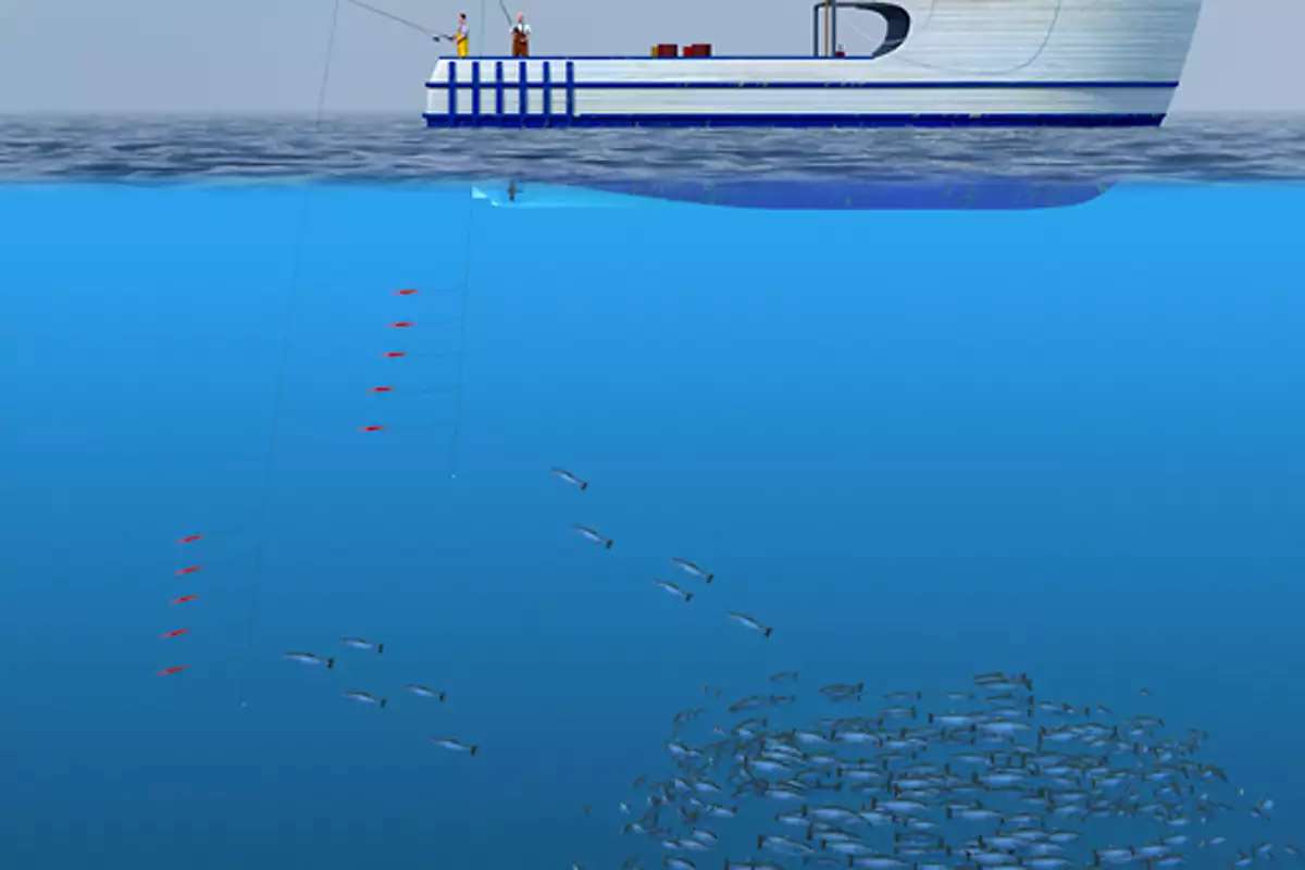 Super Green List | Healthy and sustainable albacore tuna caught with ...