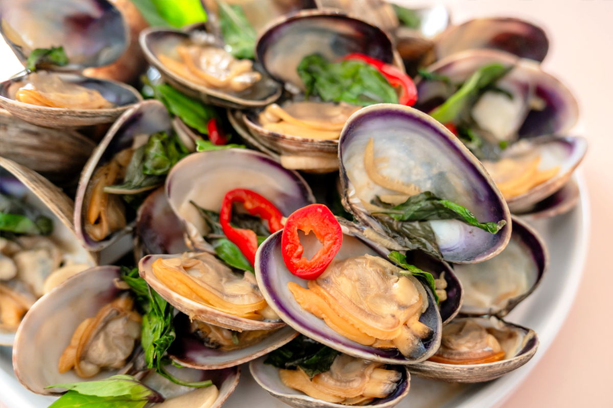 Super Green List | Healthy and sustainable farmed clams | Seafood Watch