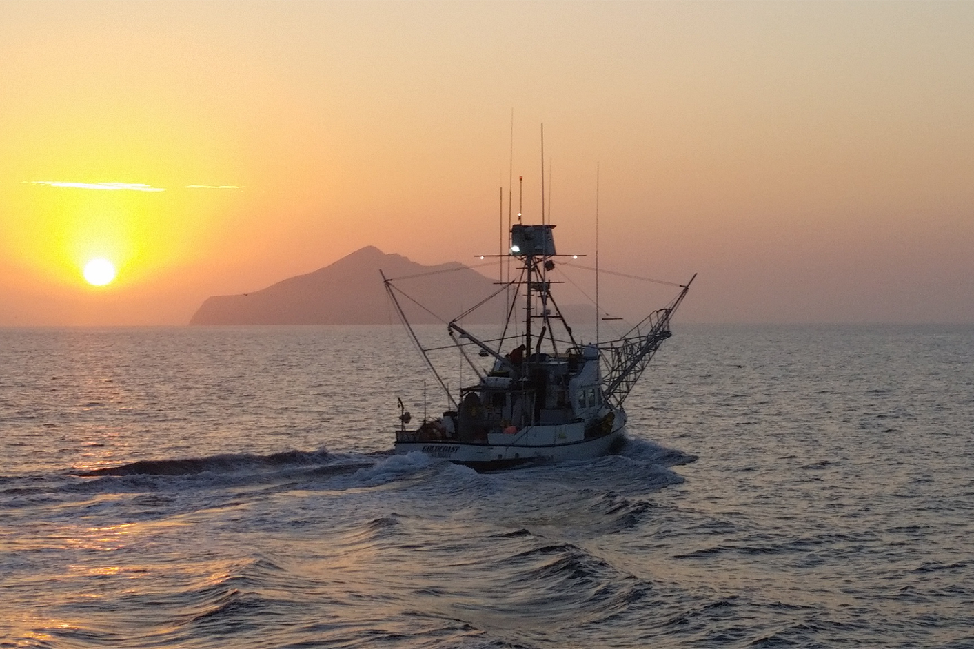 Swordfish fisheries rated Best Choice | Stories | Seafood Watch