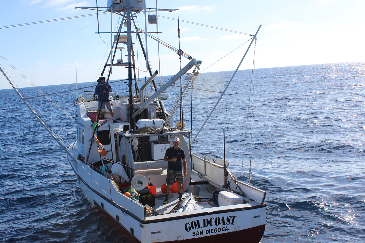Swordfish fisheries rated Best Choice | Stories | Seafood Watch