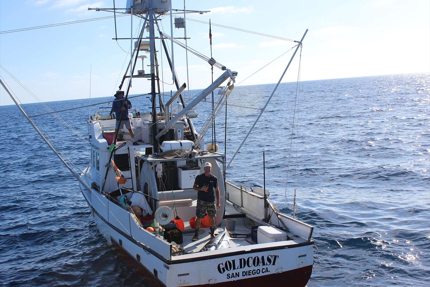 Sustainable solutions | Seafood Watch